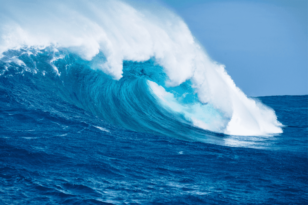 ¿Cuál es la diferencia entre el mar y el océano?